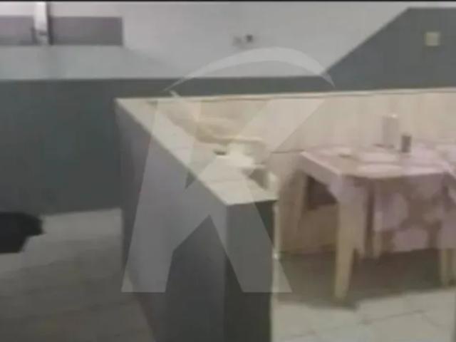 Prédio comercial à venda junto da Avenida Engenheiro Caetano Álvares