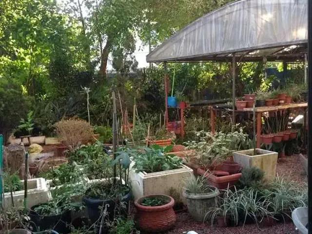 Prédio para Venda em Porto Alegre/RS Partenon 3 Quartos