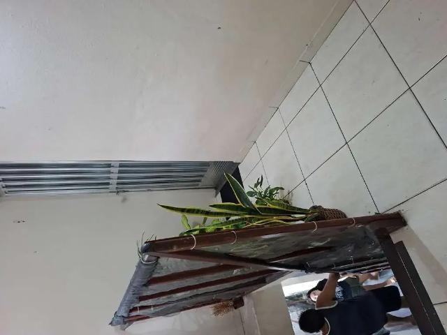 Prédio para Venda em Rio de Janeiro/RJ Olaria 2 Quartos