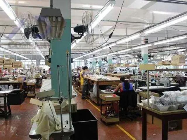 Prédio para Venda em São Paulo/SP Tucuruvi 3 Quartos