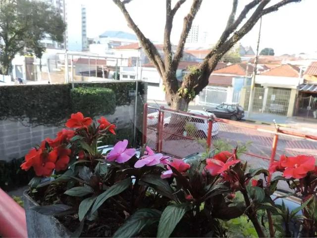 Prédio para Venda em São Paulo/SP Mooca