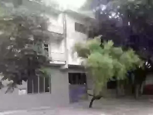 Prédio para Venda em São Paulo/SP Parque Novo Mundo