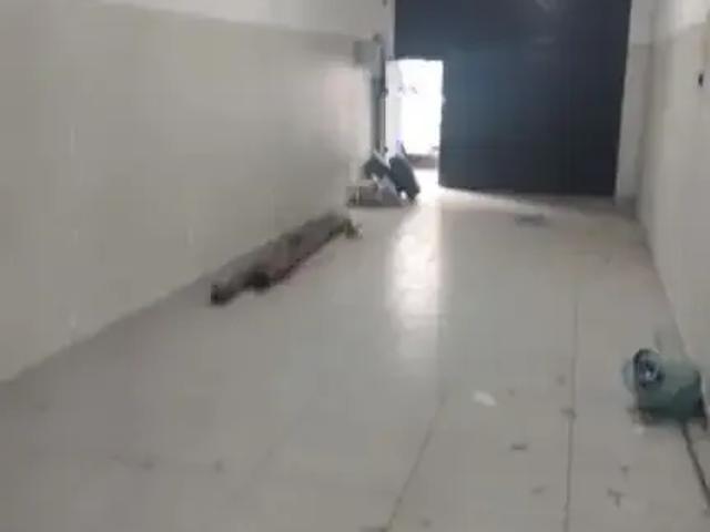 Prédio para Locação em São Paulo/SP Brás