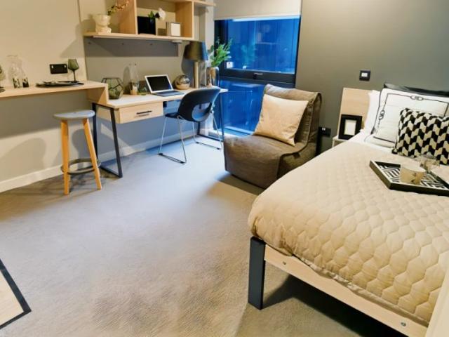 Premium Accessible Studio