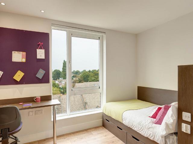 Premium En Suite at Davidson House. 1 bed private hall to rent £1,278 pcm £295 pw
