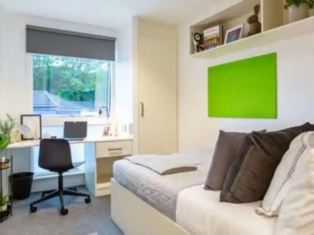 Premium Plus Studio