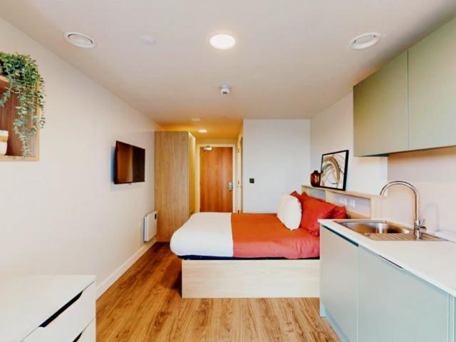 Premium Plus Studio