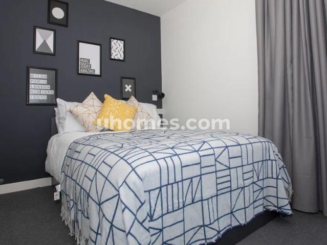 Premium Plus Studio