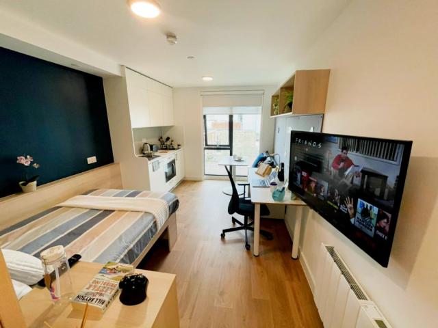 Premium Plus Studio