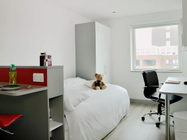 Premium Studio