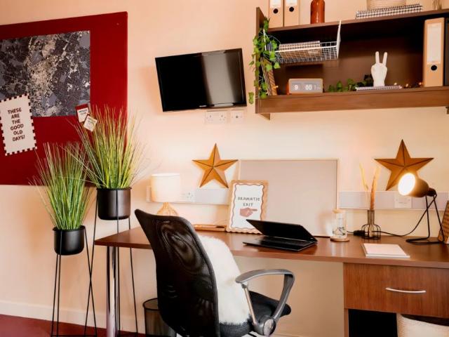 Premium Studio