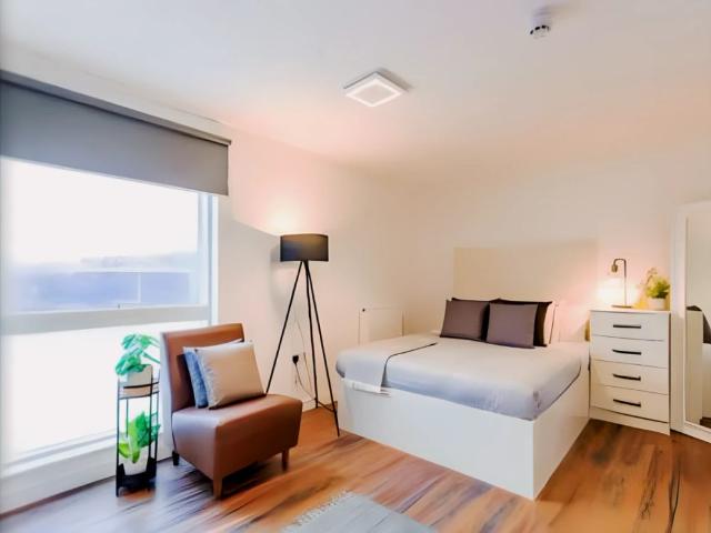 Premium Studio