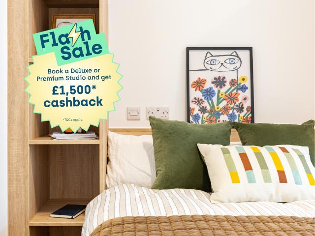 Premium Studio at Beckton House. Studio to rent £1,083 pcm £250 pw