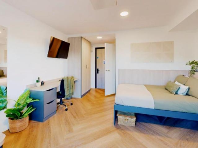 Premium Studio Ground
