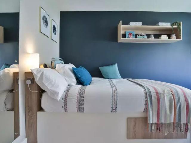 Premium Shared Apartment