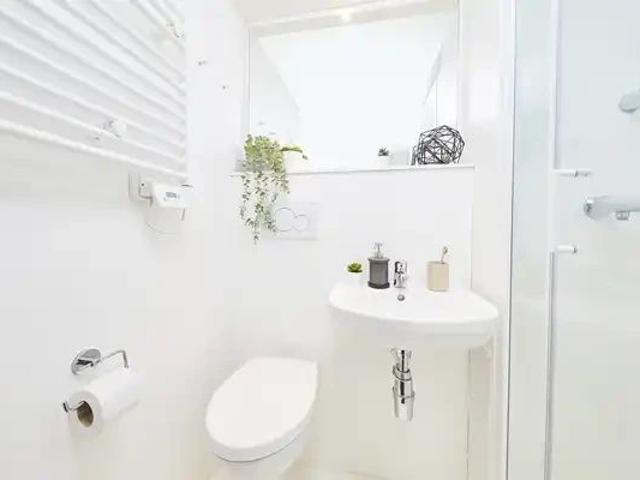 premium single shared facilities