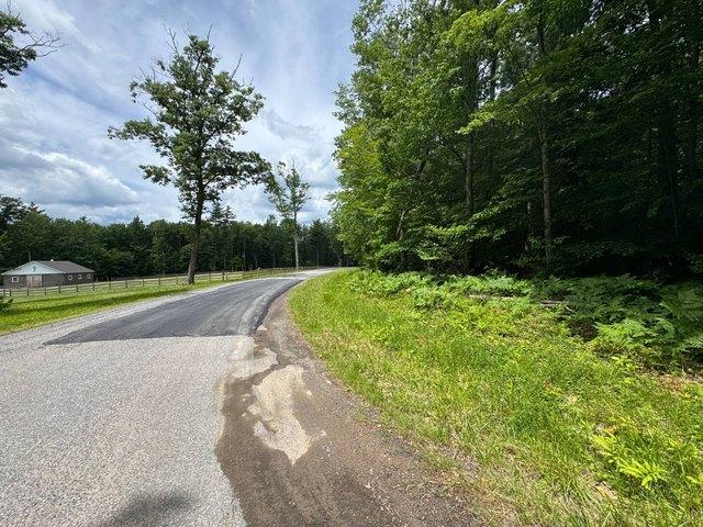 Prentice Gorge Rd, Unadilla, NY 13849