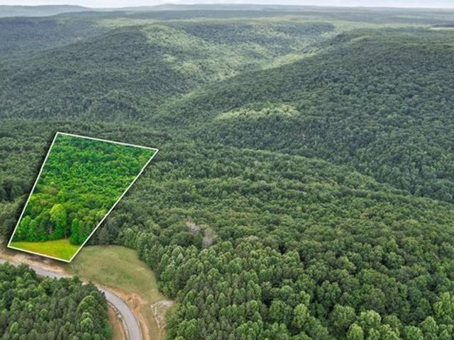 Preservation Dr, South Pittsburg, TN 37380