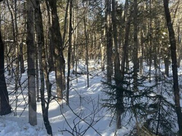 Presidential Dr, Washington, Plot For Sale