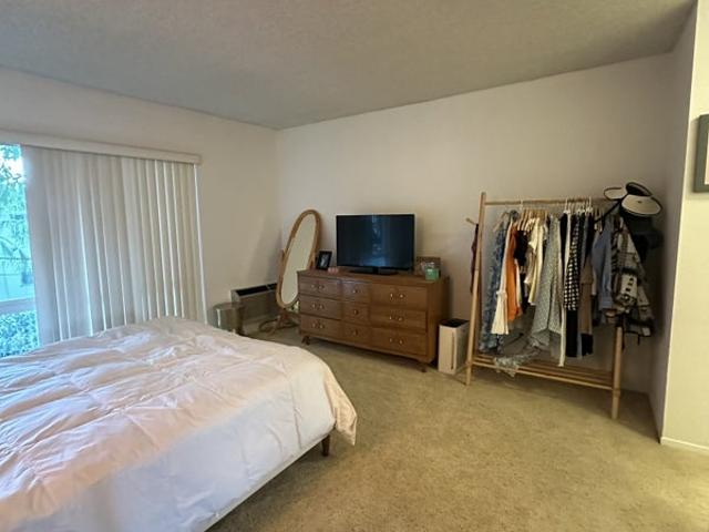 Private Master Bedroom in Shared Apt for Rent