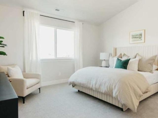 Private master BR_Male Roommates Only