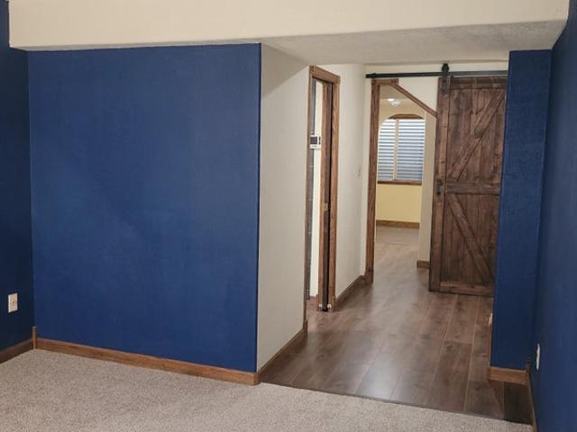 Private Basement Rental in Parker