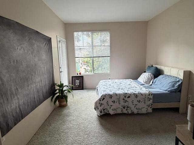 Private Bed/Bath in Luxury Apartment!