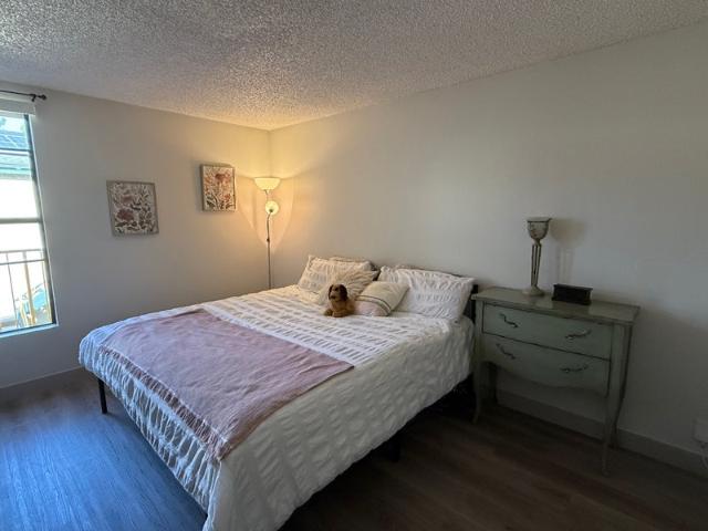 Private Bedroom + Bathroom in 2BR/2BA in UC!