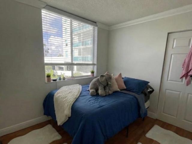 Private Bedroom in Brickell