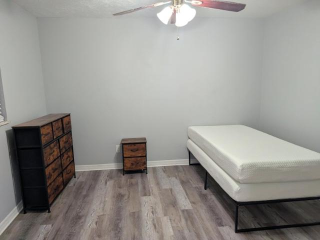 Private Bedroom in Newly Renovated Home!