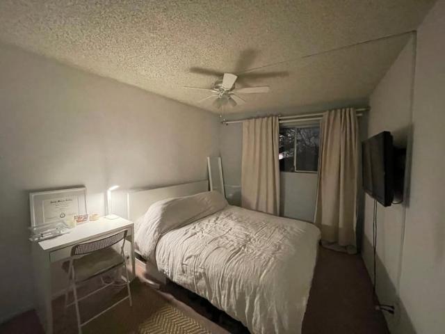 Private Bedroom, Shared Bath in Santa Monica