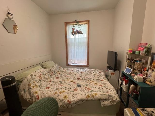 Private Bedroom Sunset Park, Chinatown