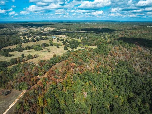 Private Dr # 6388, Newburg, MO 65550