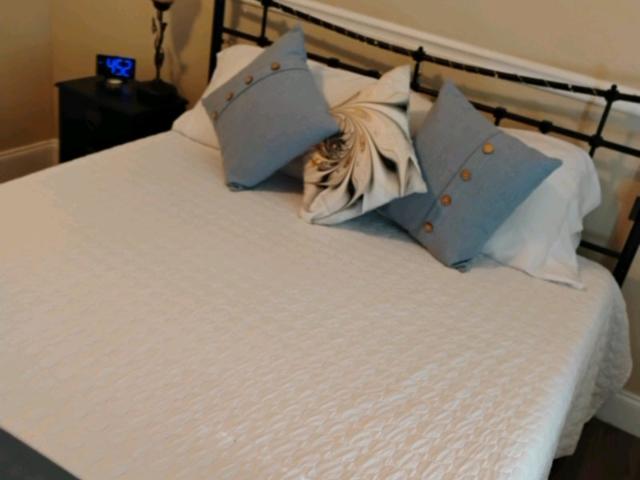 Private, Furnished Bedroom/ Private Bath