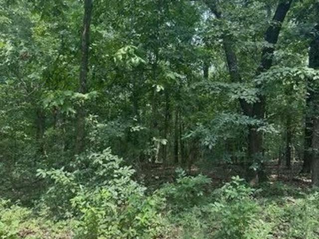 Private Rd # CC200, Alton, MO 65606
