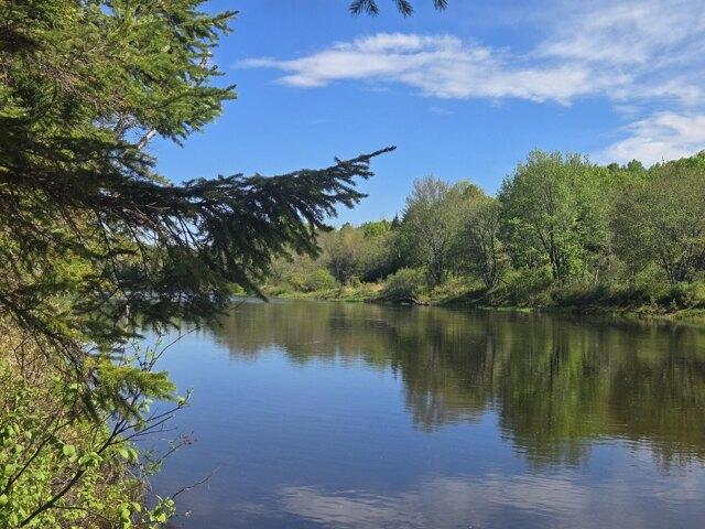 Private Rd, Island Falls, Plot For Sale
