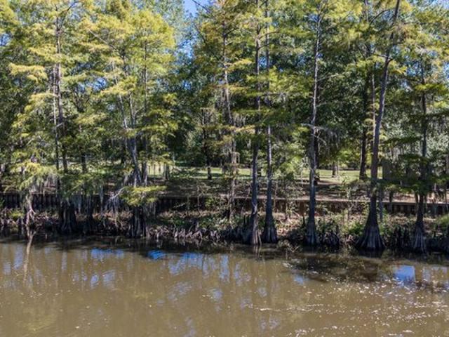 Private Rd # 7219, Jefferson, TX 75657