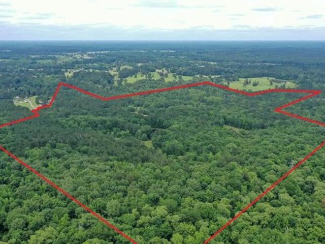 Private Rd # 7381, De Berry, TX 75639