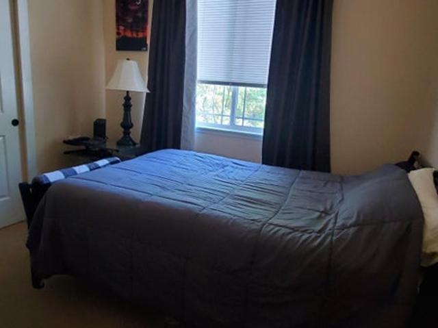 Private Room and Bathroom Available in Condo