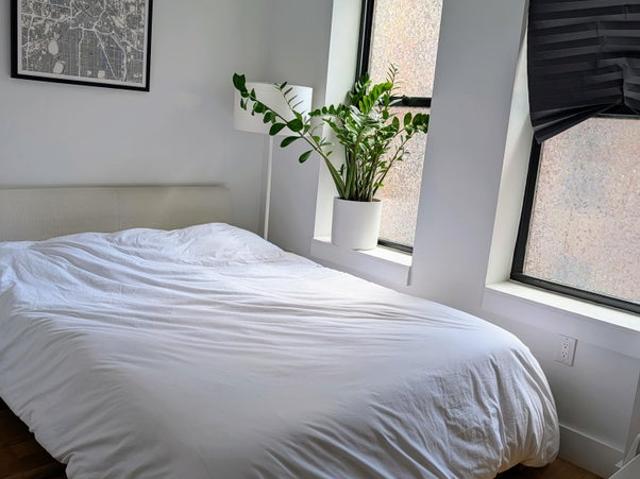 Private Room + Ensuite Bath in Williamsburg 3BR