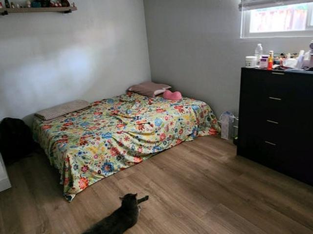 Private room for rent