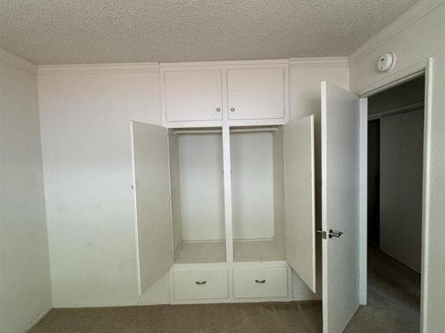 Private Room for Rent