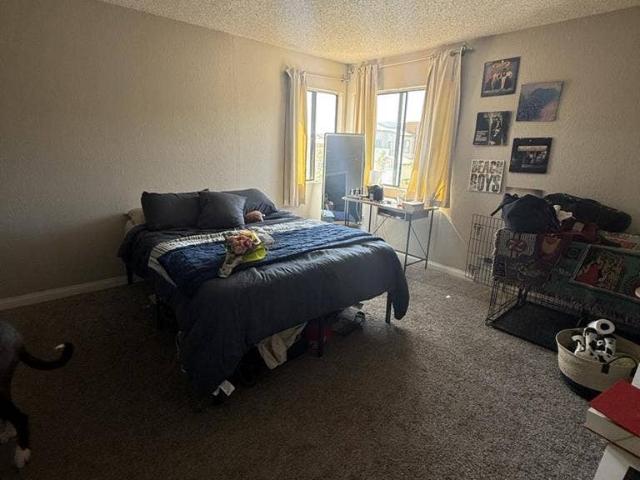 Private room for rent!