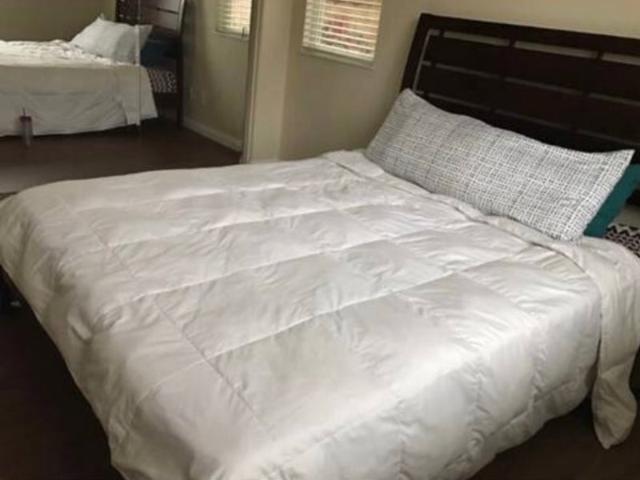 Private room for rent