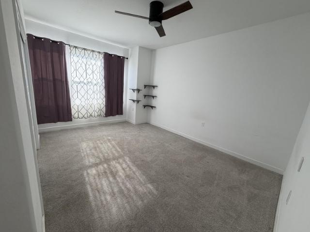 PRIVATE ROOM FOR RENT