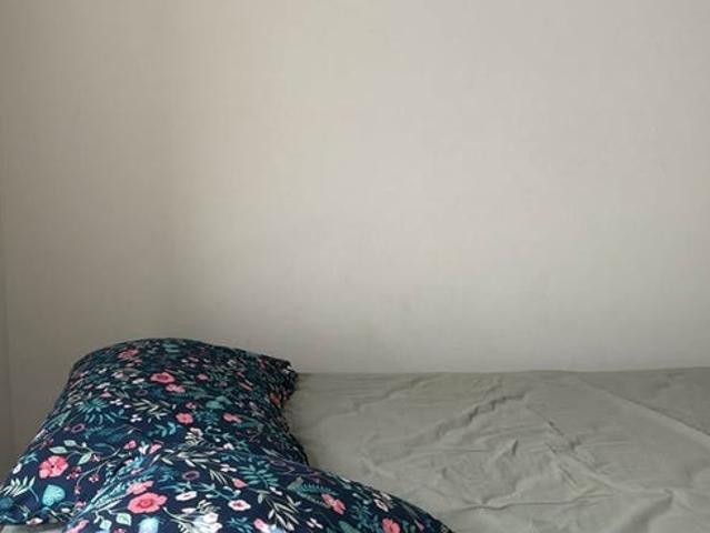 Private Room for Single male – Seffner, FL