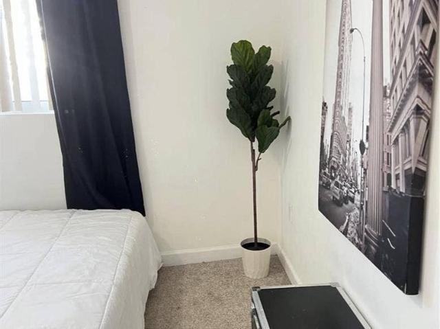 Private room + private bathroom