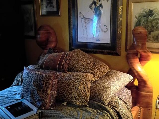 private room/bath single family: Must Love Cats