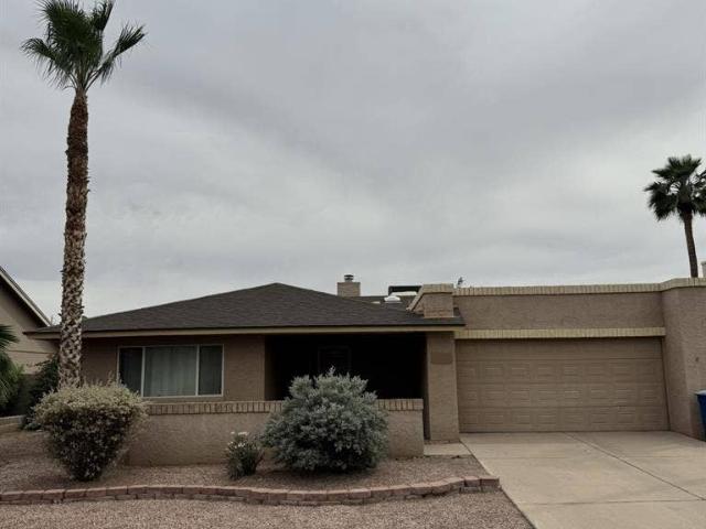 Private Rooms Available in Tempe