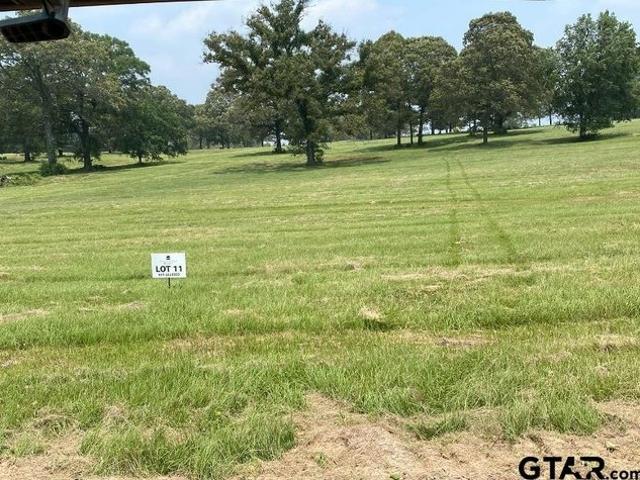 Private 3398 Tbd Rd Lot 11, Big Sandy, TX 75755